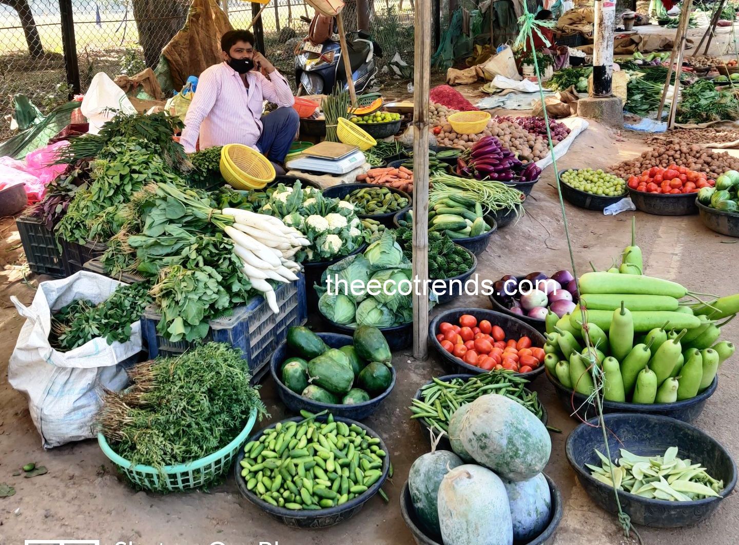 Minimum Support Price For Vegetables To Be Fixed For Jharkhand Minimum Support Price For Vegetables To Be Fixed For Jharkhand