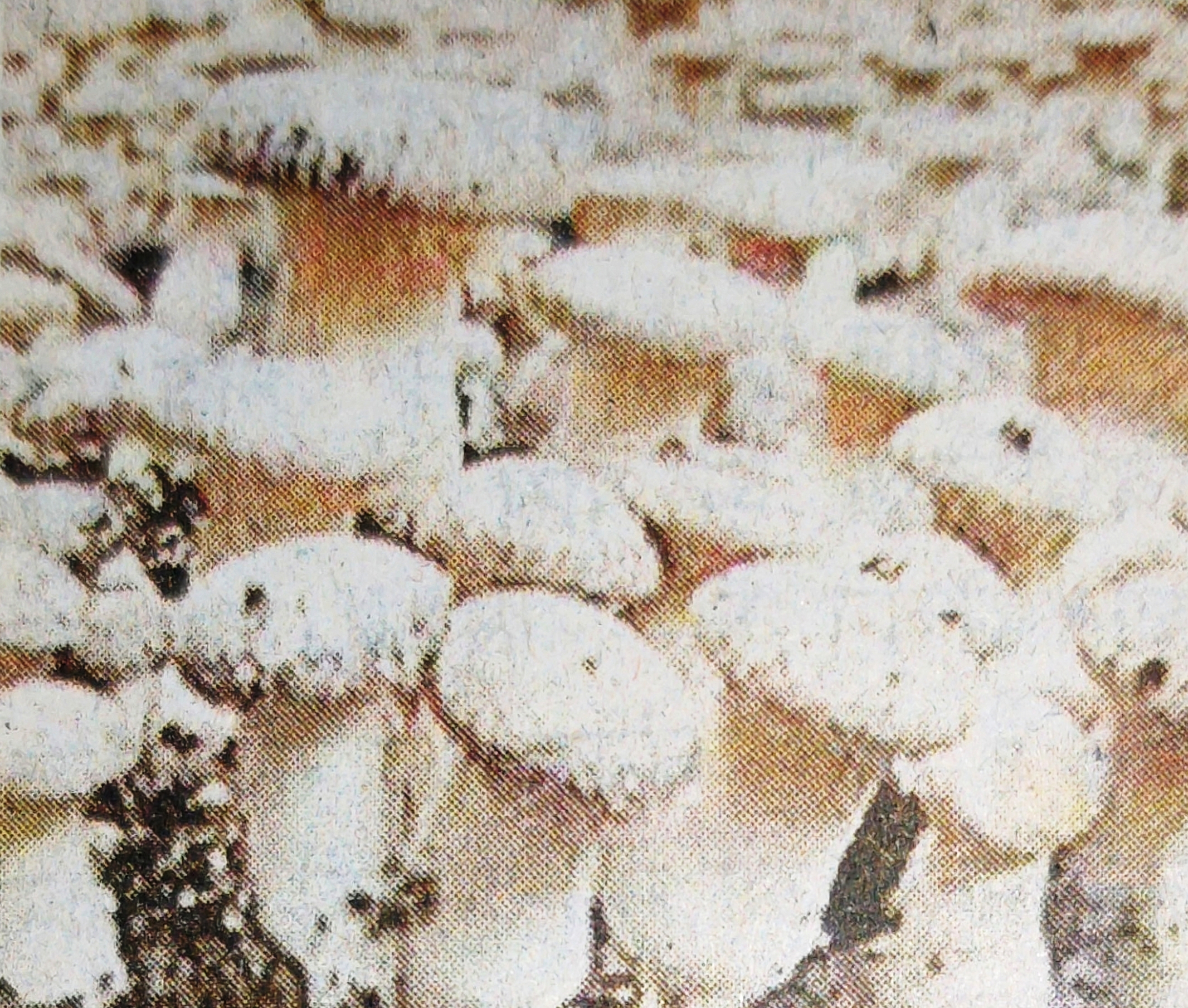 State Links Farmers with Mushroom Propagation | TheEcotrends